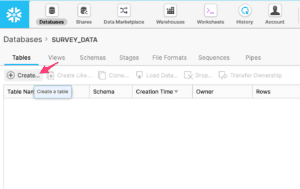 Loading Data into Snowflake with Efficiency - Datameer