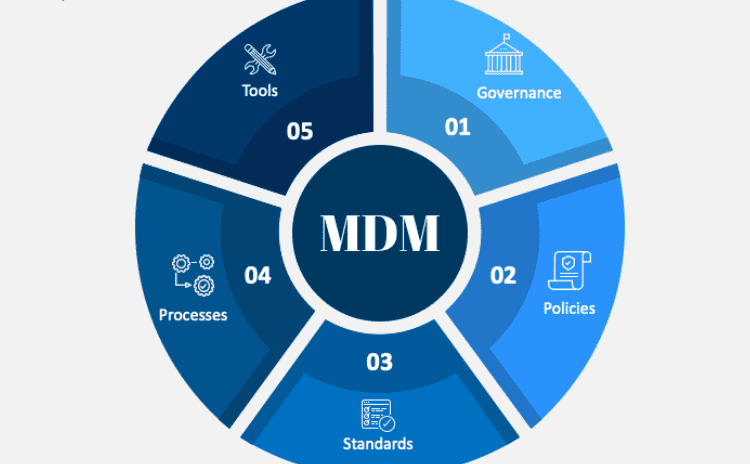 Master Data Management: The Good Cop Policing Your Business Data - Datameer